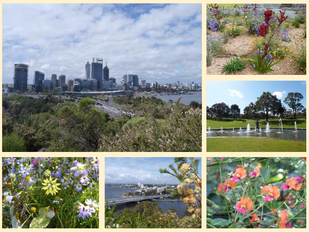 The Perks of Perth - Nina Verheij